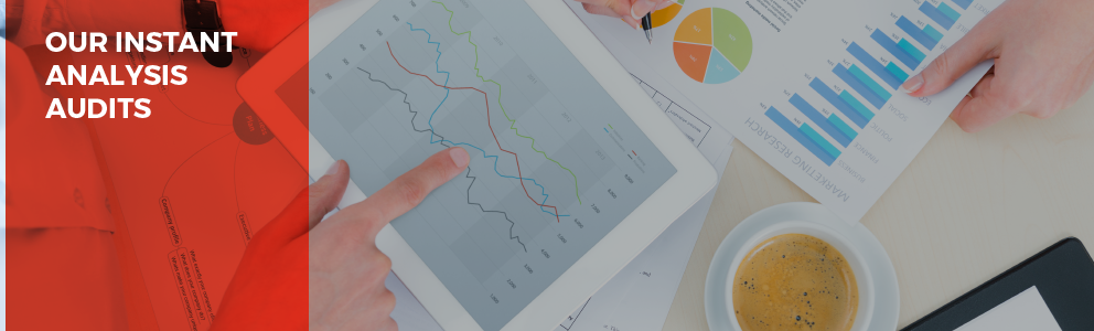 Mad Marketeer - About Instant Analysis Audits